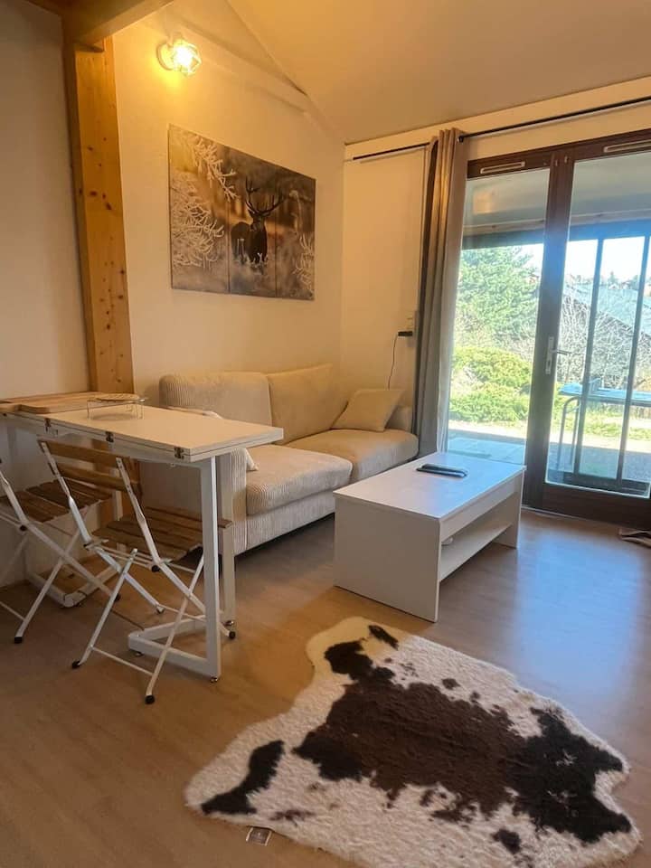 Location Appartement Plein Sud - Font-Romeu-Odeillo-Via