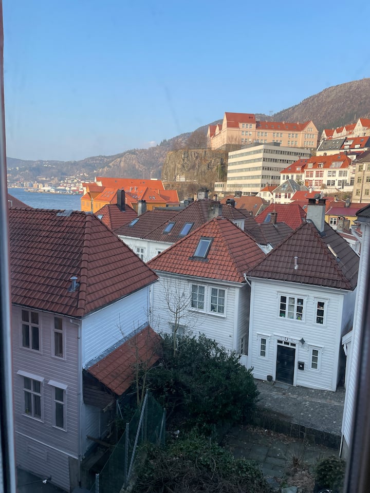 Leilighet I Beste Sandviken - Bergen