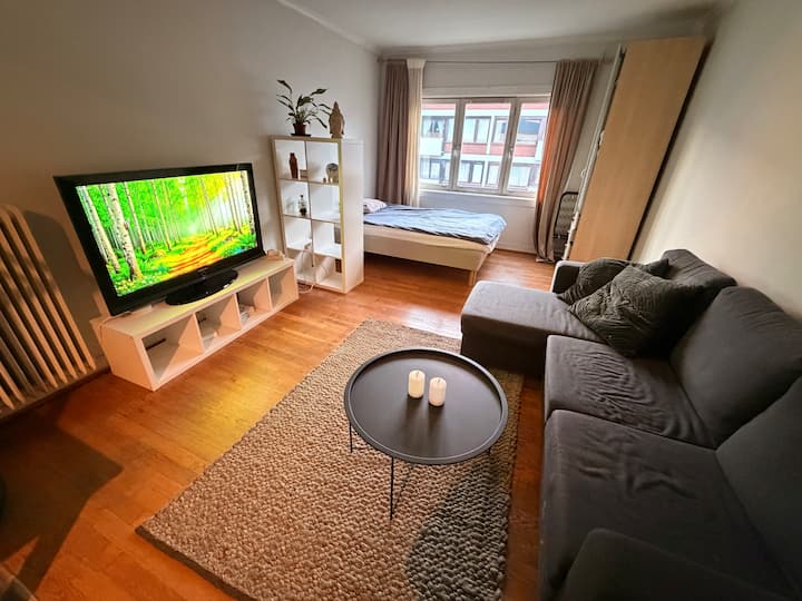 Wergelandsparken - Oslo