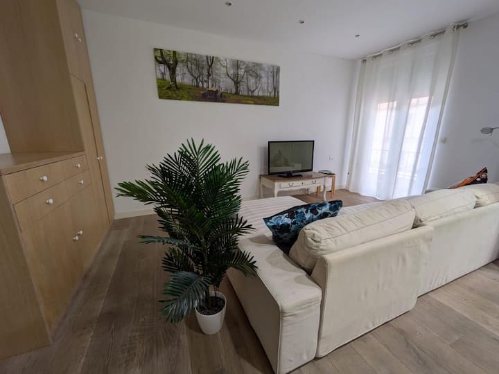 Acogedor Apartamento En El Centro - Astigarraga