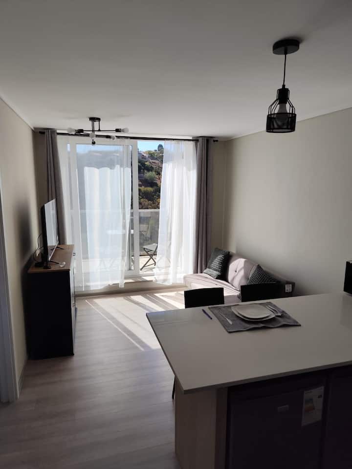 Depto Con Vista Al Mar, Quincho, Gimnasio Mascotas - Valparaíso