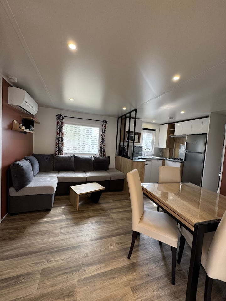 Piscines & Activités Mobil Home Climatisé 3c /421 - Chaumont-sur-Loire