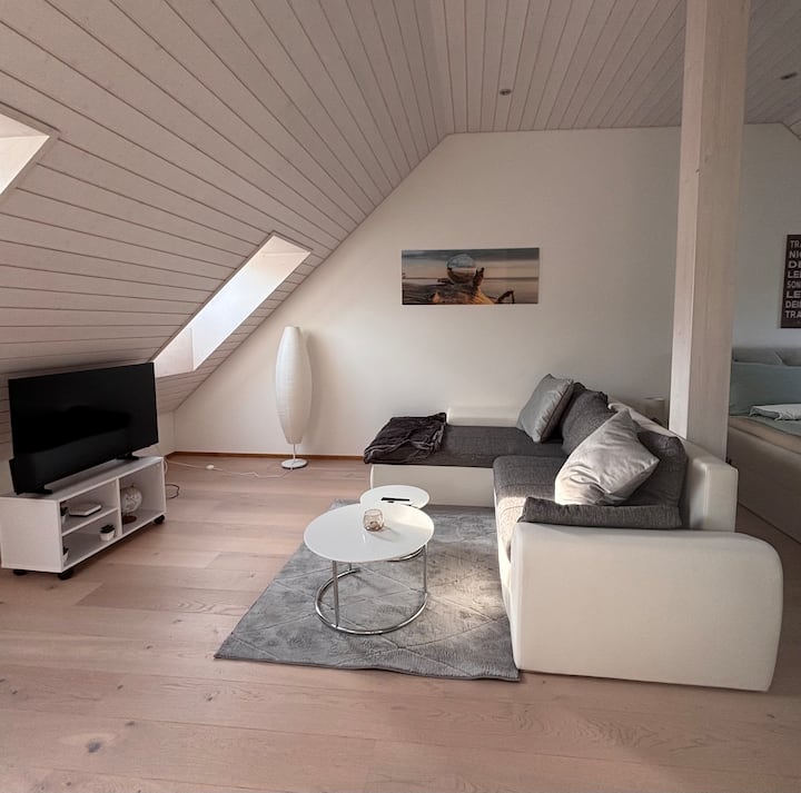 Gemütliche, Ruhige Und Naturnahe Wohnung In Elsau - Winterthur