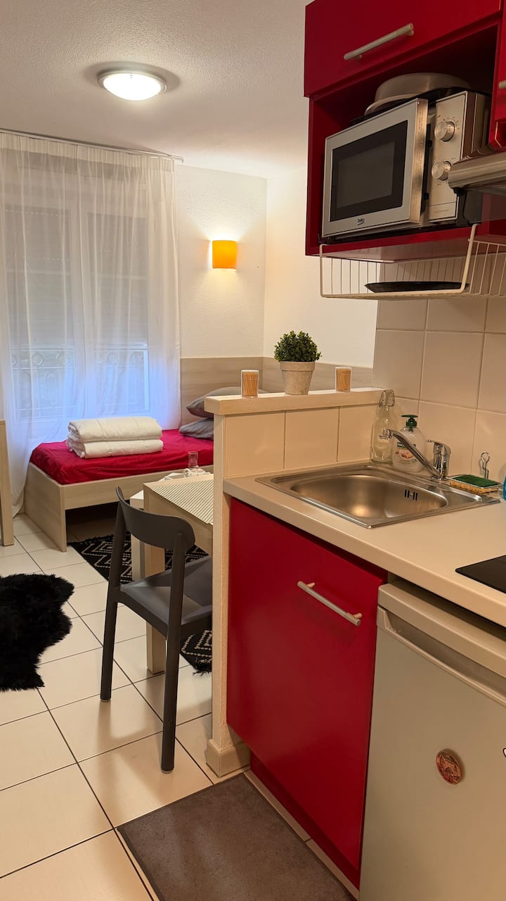 Studio Cosy à Deux Pas De Paris - Charenton-le-Pont