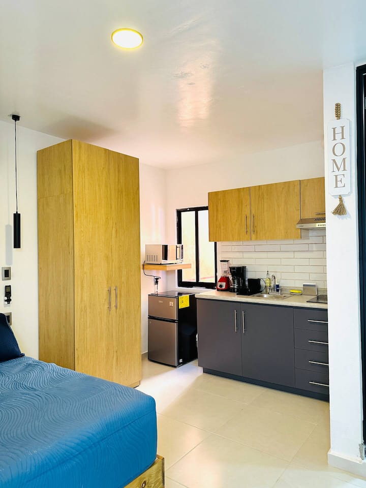 Loft Nuevo En Zona Centro Aguascalientes - Loft 15 - Mexico