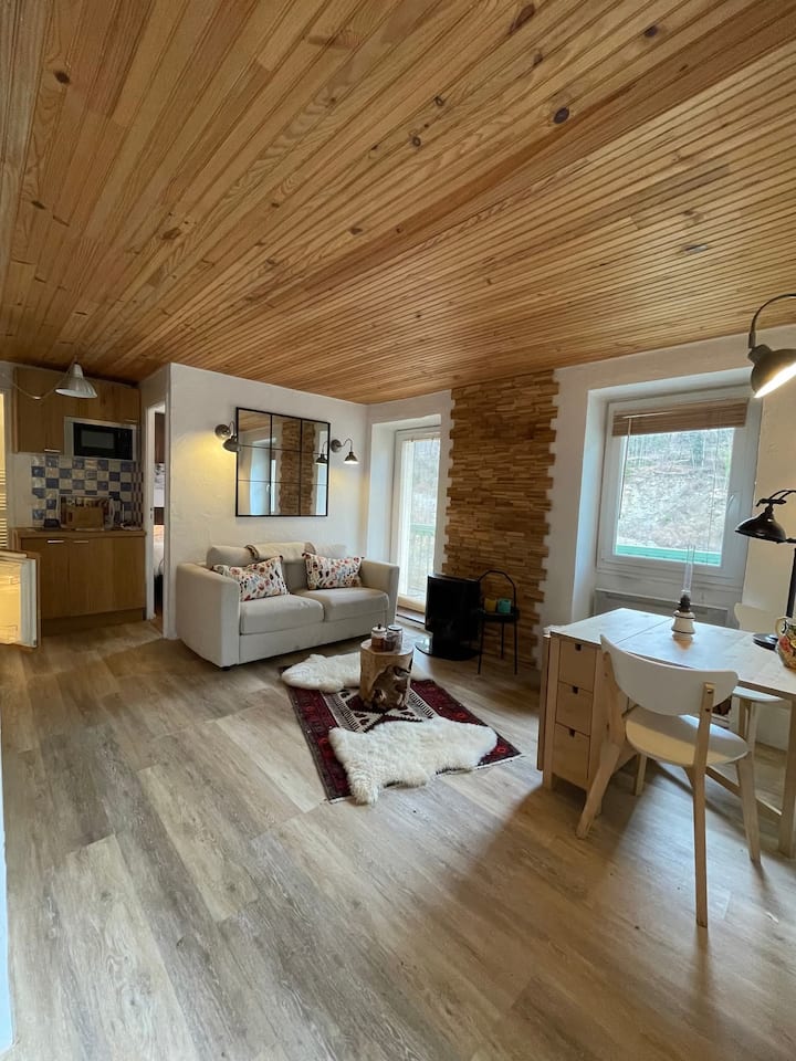 Appartement 2 Pièce Au Centre-ville - Lac de Fenestre