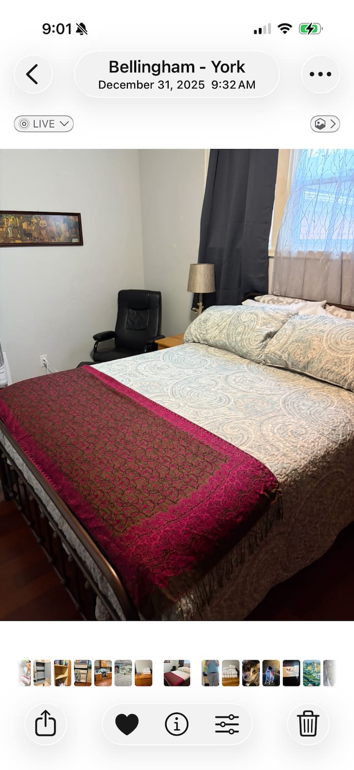 Butterfly - Bellingham, WA