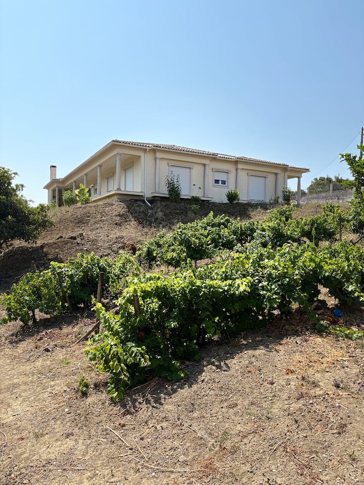 Grande Maison Familiale Près De Fatima - Batalha