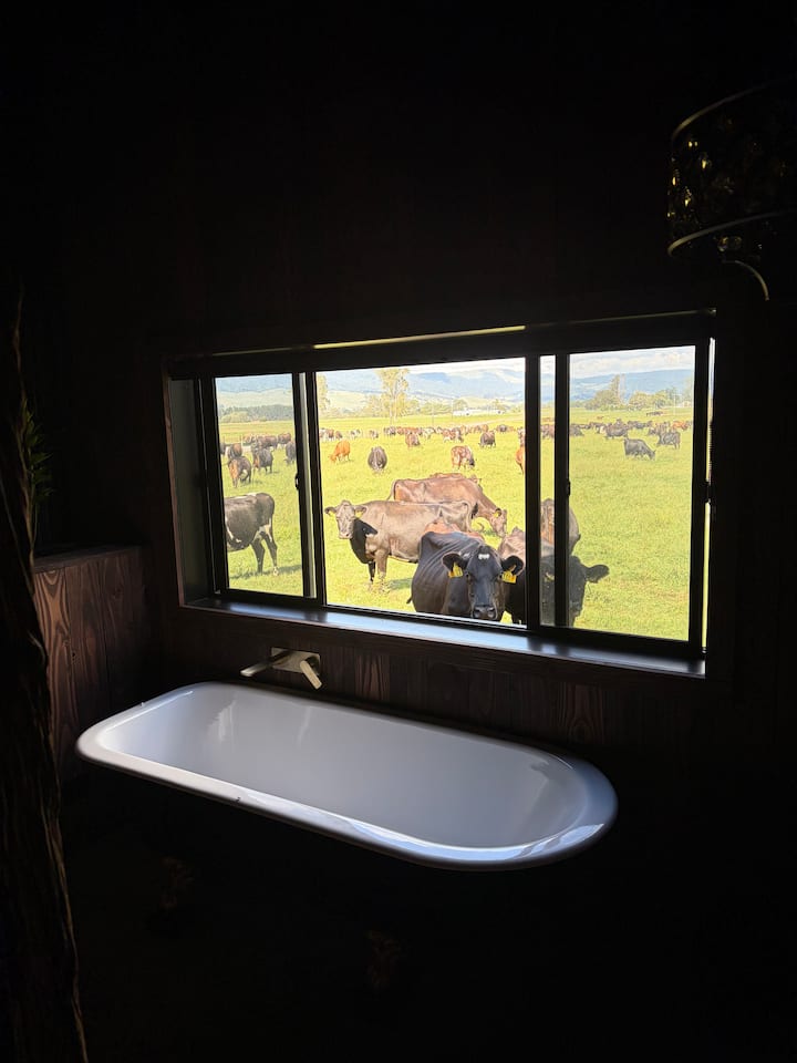 Matamata Luxury Lodge - Matamata