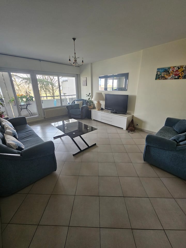 Appartement Lumineux Et Spacieux Bien Situe - Messimy