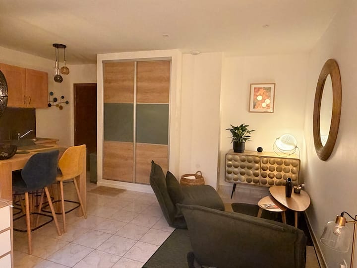Le 21 Rue Filaterie, Lac & Vieille Ville à Pied - Annecy-le-Vieux