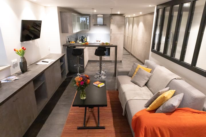Le Lodgy Charmant Studio 3* Vieille Ville Au Calme - Annecy
