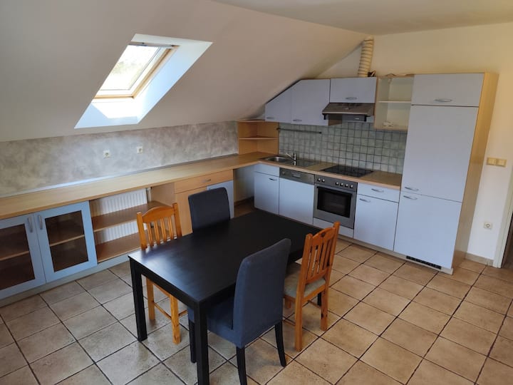 Comfortable Apartment Near Terme ČAtež - Boršt