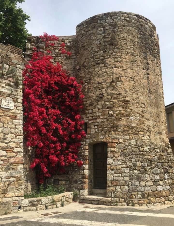 La Torre Della Bella Ragazza - Suvereto