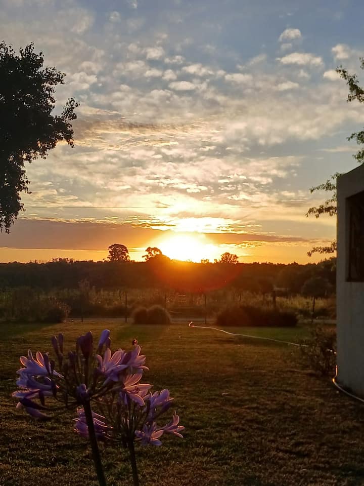 Casa De Diseño Al Atardecer. Hogar Y Naturaleza - Campana