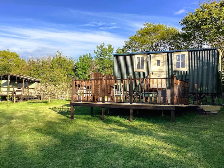 Lilly's Pad - Bude