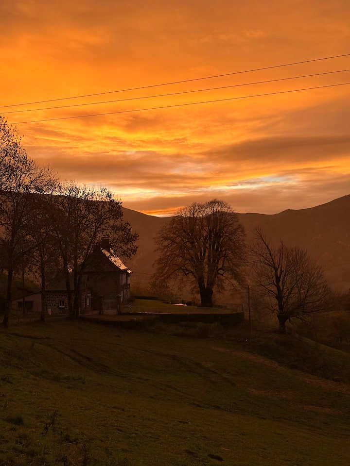 Gîte Chaleureux, Entre Salers Et Le  Puy Mary ! - Vic-sur-Cère