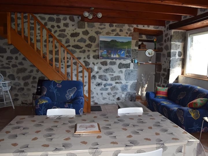 Gîte Chaleureux, Entre Salers Et Le  Puy Mary ! - Vic-sur-Cère