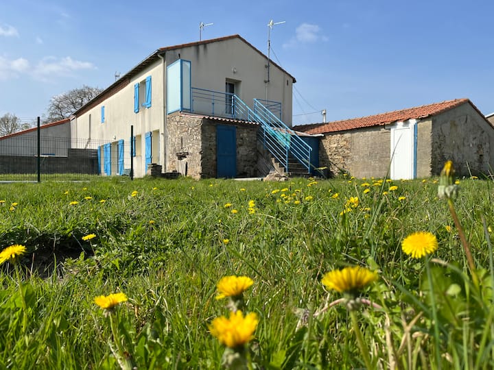 Entre Mer Et Biche - Planète Sauvage