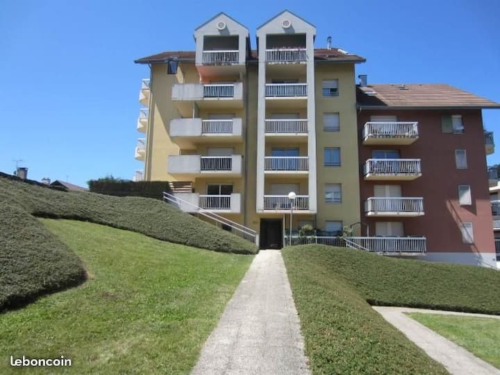 T2 Duplex, Proche Gare, Lumineux. - La Roche-sur-Foron