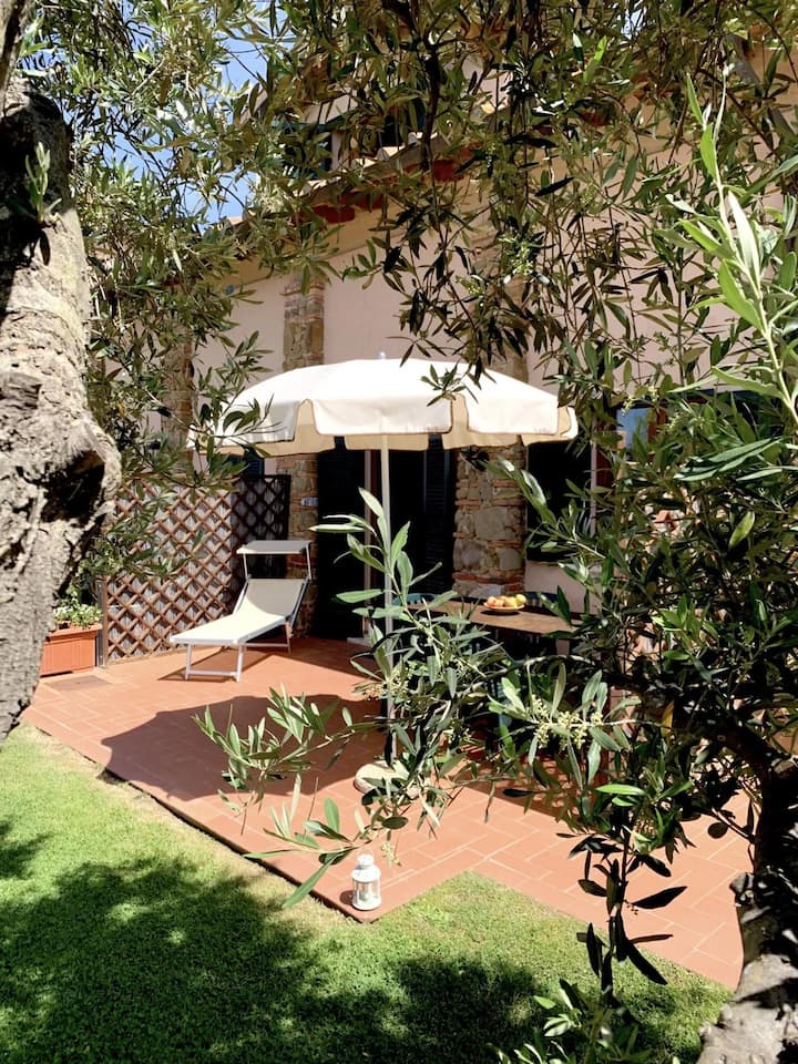 Flat With A Swimming Pool And Veranda In Maremma - Castiglione della Pescaia