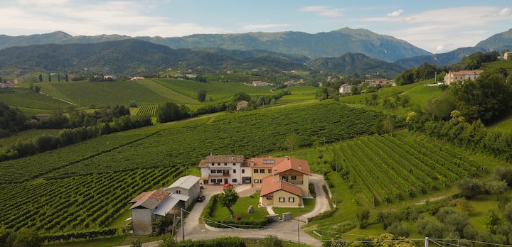Relax Tra Le Colline Del Prosecco - Conegliano