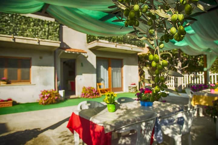 B&b Geco, 
Casa Vacanze - Cupra Marittima