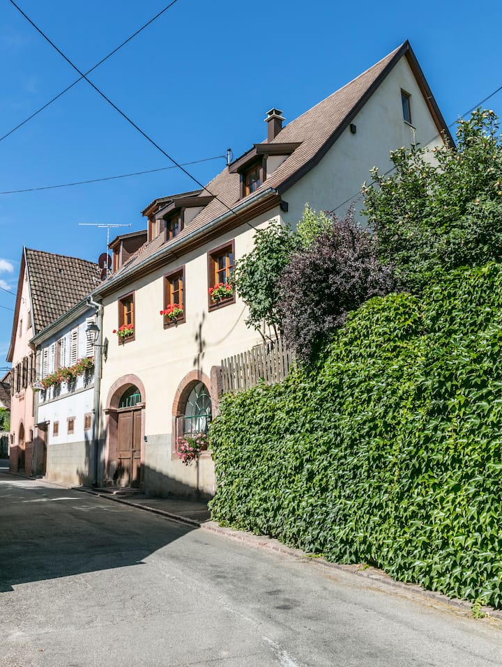 Traumhaftes Fachwerkhaus Nahe Riquewihr - Kaysersberg