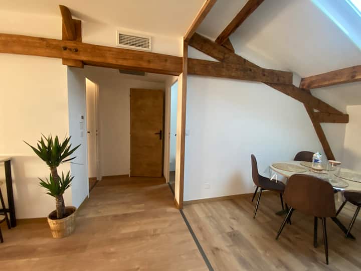 Appartement Cosy Cœur De Ville - Auterive