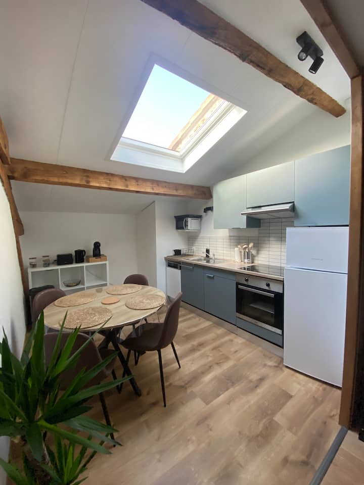 Appartement Cosy Cœur De Ville Proche Gare - Auterive