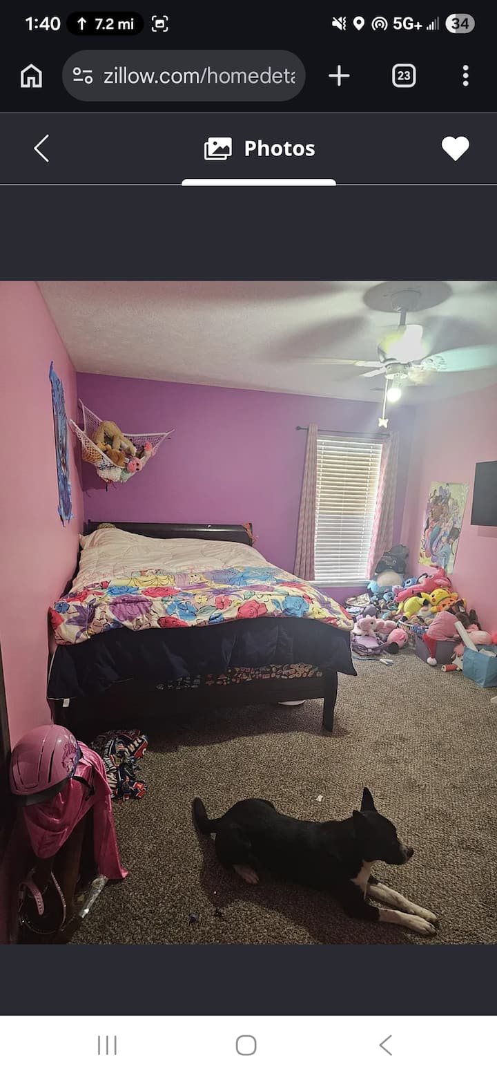 Family Spot - Mars Hill, IN