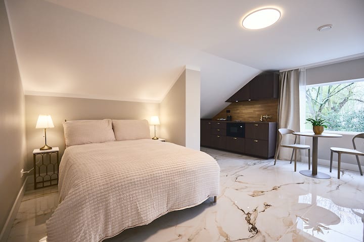 Spacious Studio, Private Bathroom & Kitchen Room 1 - Amsterdam