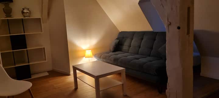 Appartement Hyper Centre Le Mans. - Le Mans