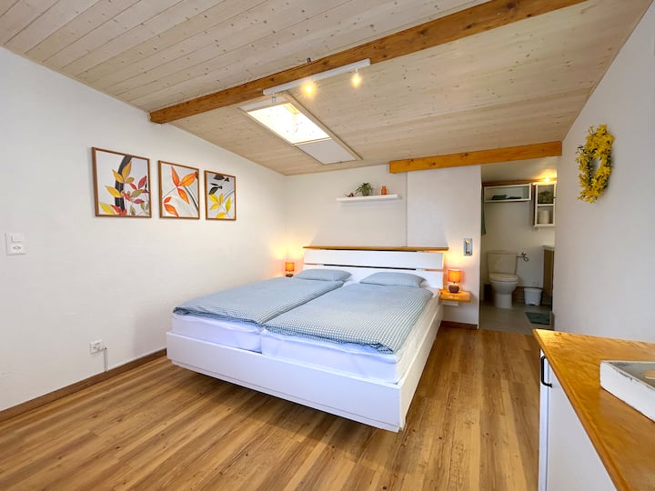 Casa Tell, Nel Verde Dei Vigneti - Bellinzone