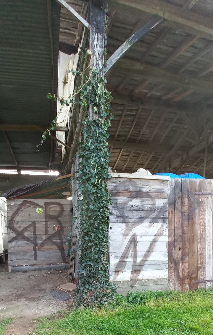 Cara-bane - Haute-Garonne