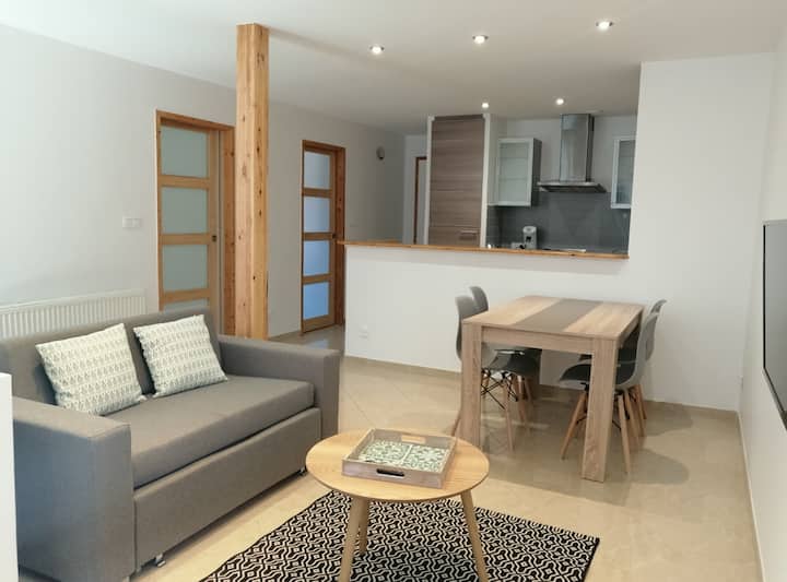 Un Appartement De Charme En Centre-ville - Évian-les-Bains