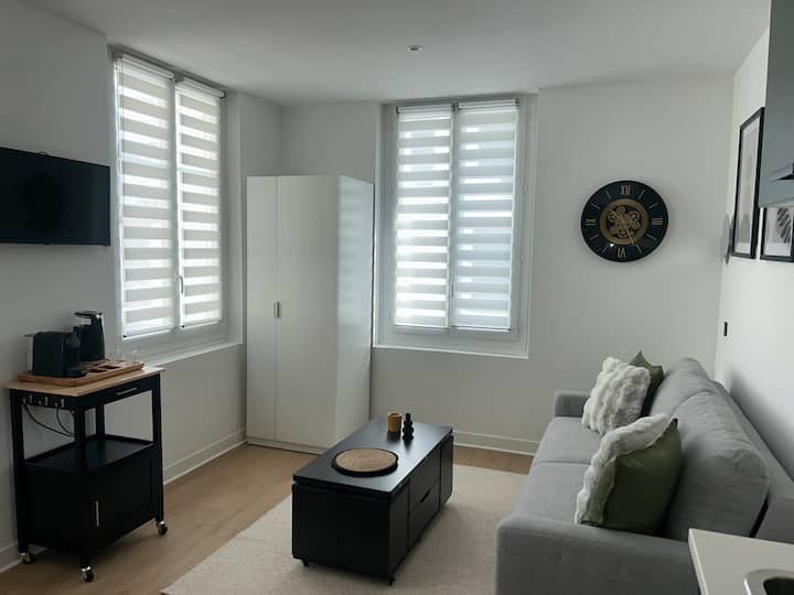 Studio Cosy Face Gare Tgv Tours - Tours