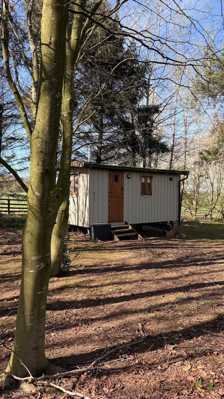 Woodland Hut @ Little Orchard Retreats - Ripon
