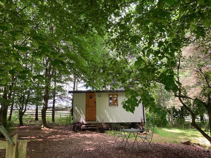 Woodland Hut - Ripon