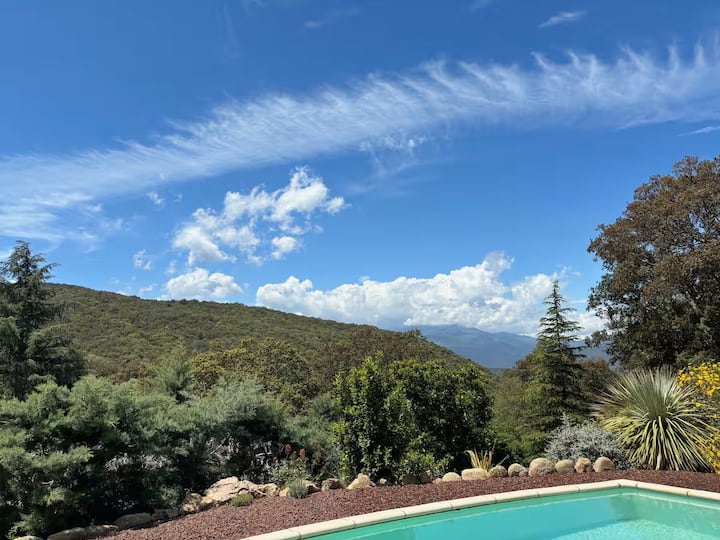 Welcome To Macca Tree, Between Sea And Mountains - Céret