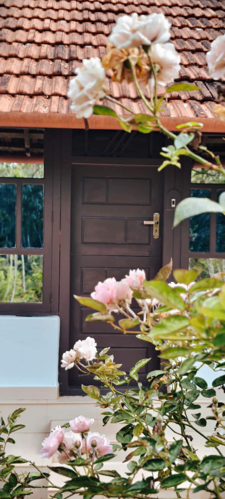 Cozy Nest Homestay - 케랄라