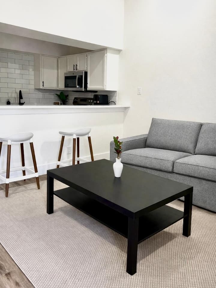 Cozy Apartment Near Heart Of Dallas - Dallas, TX