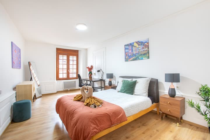 New 3 Bedrooms Apartment - Historical Center - Mulhouse