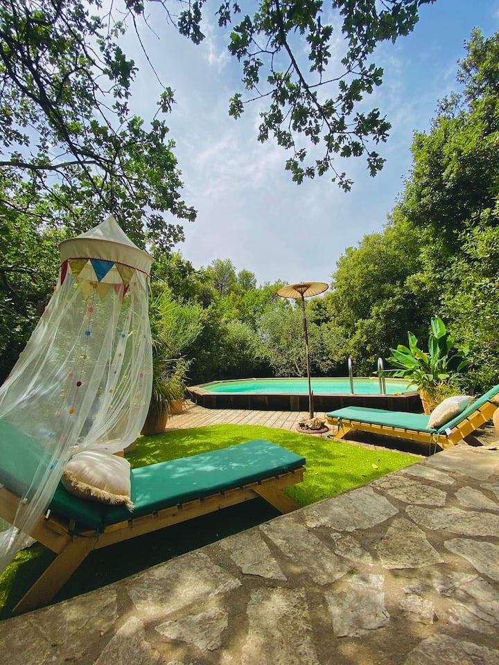 Havre De Paix Au Coeur Des Arbres - Saint-Zacharie