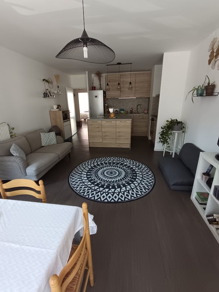 Le Meilleur Des Appartements Lillois - Nord