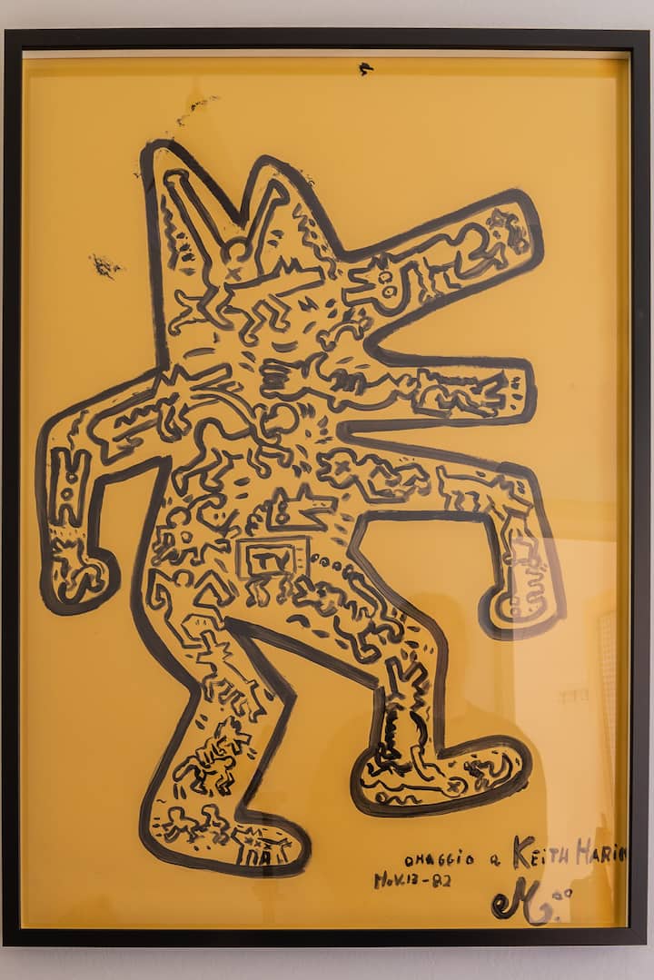 Windrose The Dog - Pisa