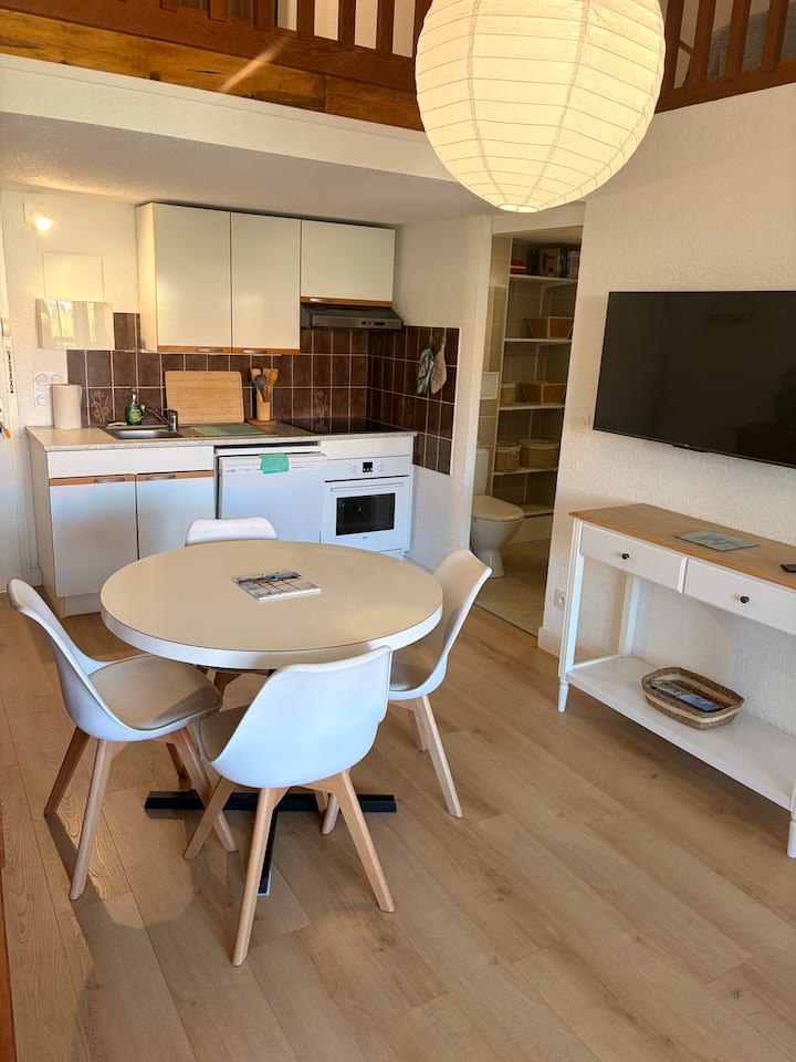 Logement 52 M2 à 80 M De La Plage - Saint-Cyprien