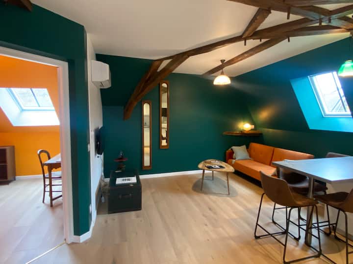 Cocon Cosy Sous Combles En Centre-ville - Touraine