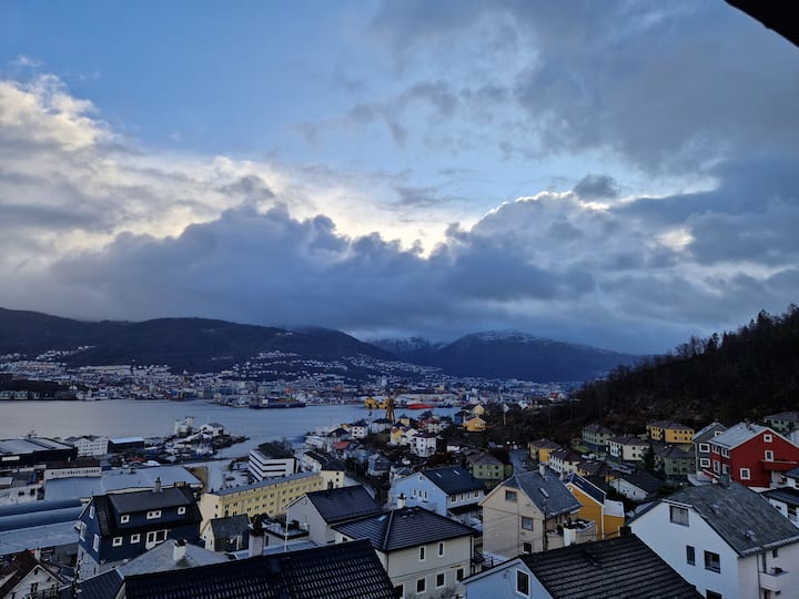 Toppleilighet Med Utsikt. - Bergen