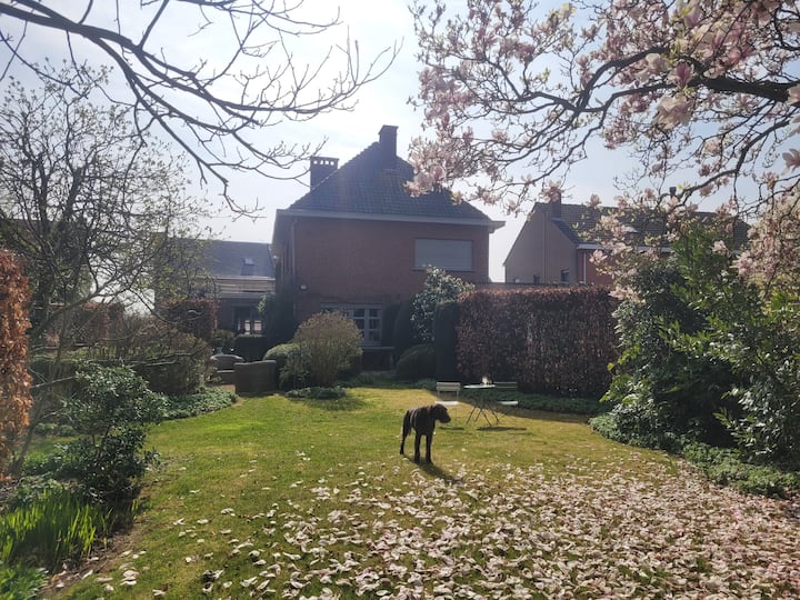 Private Paradise 15 Min Walk From Tomorrowland - Boom